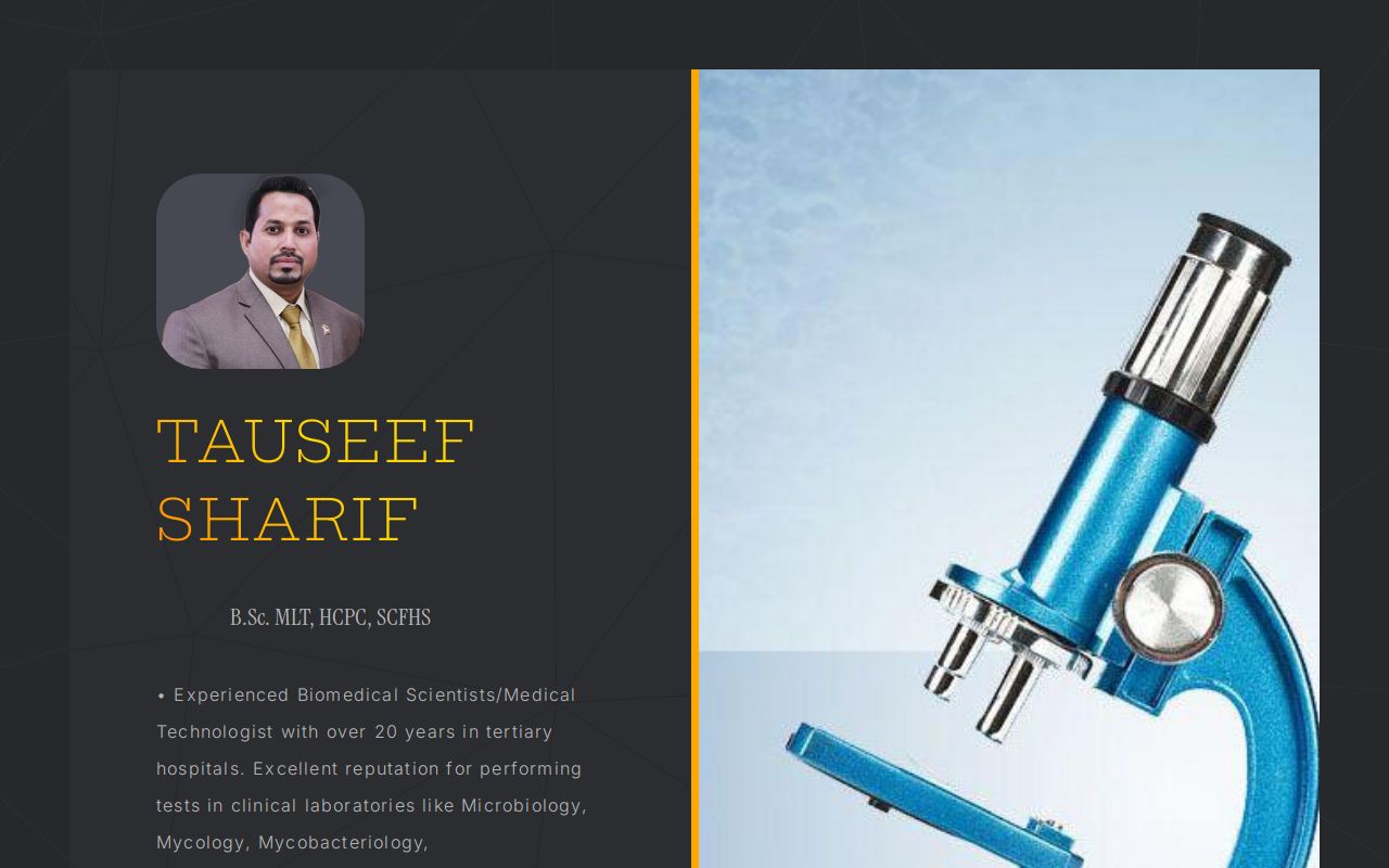 Tauseef Portfolio